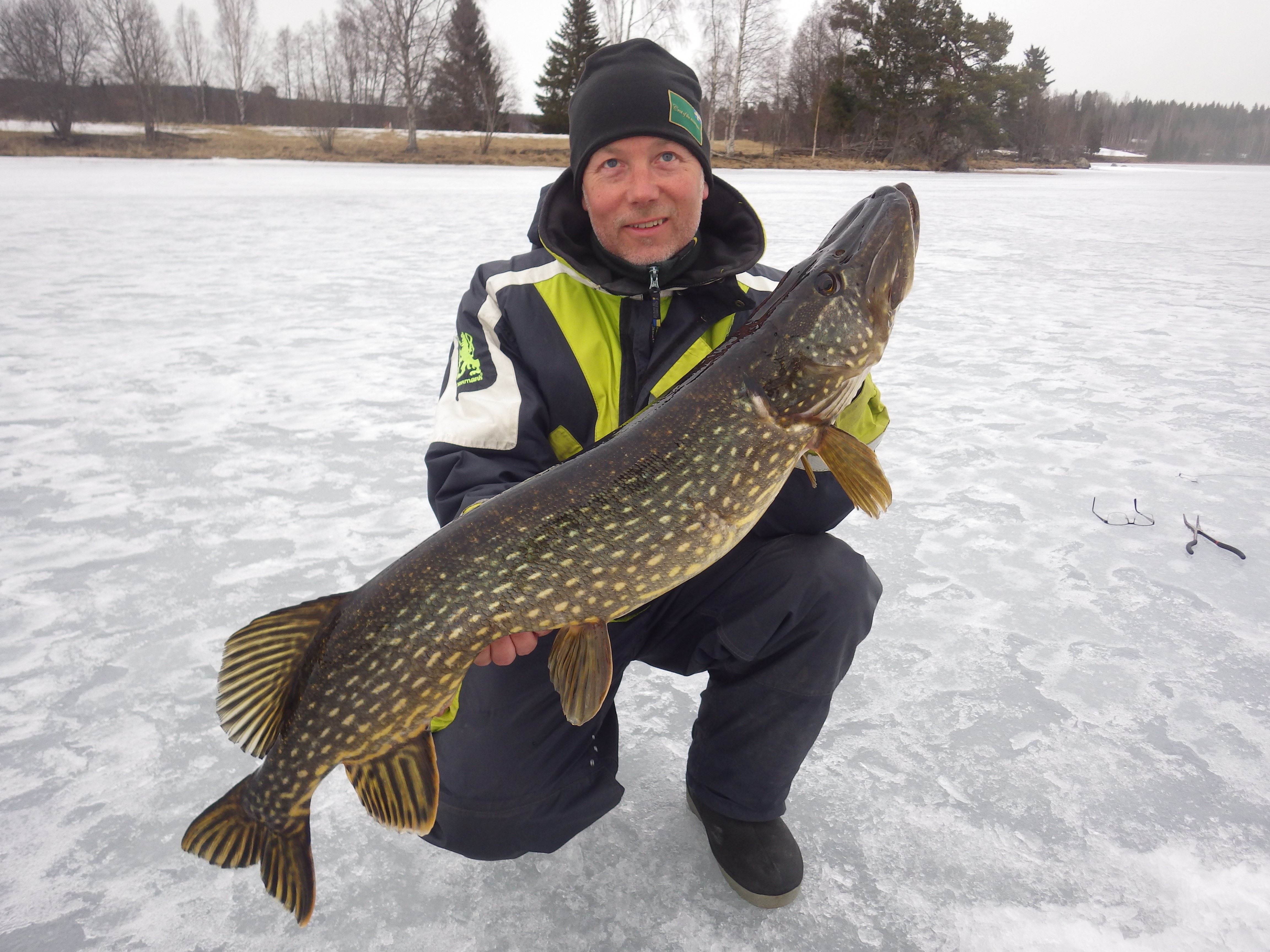 Pike & Perch Fishing - fiskeguider och båtuthyrning