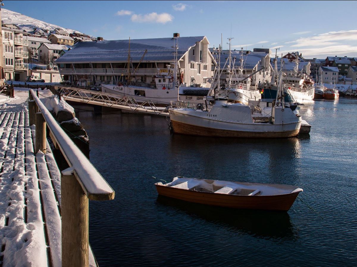 The North Cape Tour, Sightseeing, Guided Tours