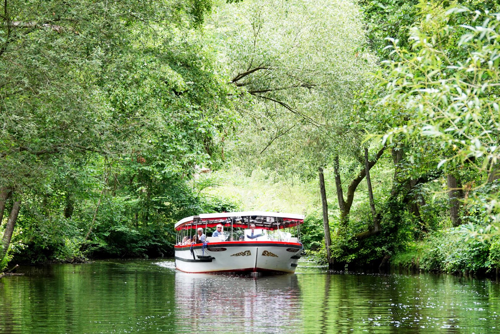 Rundtur på Odense Å, Activities, Odense